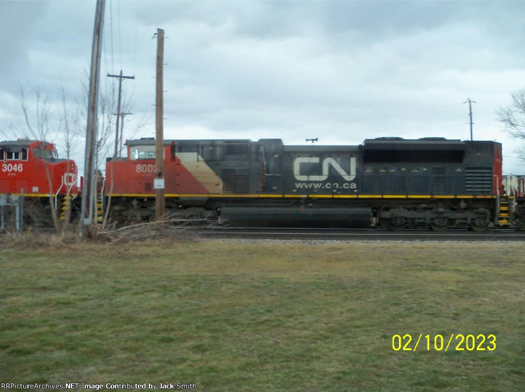 CN 8002